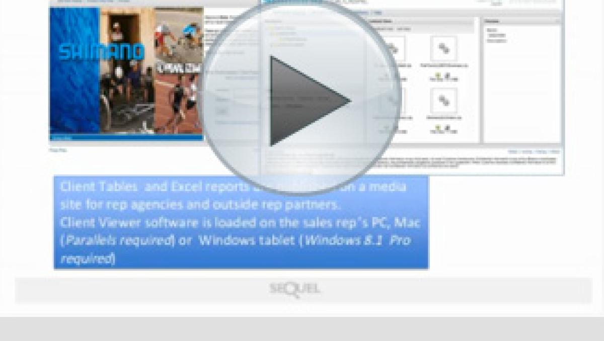See How Shimano Tackles Reporting with SEQUEL | Video